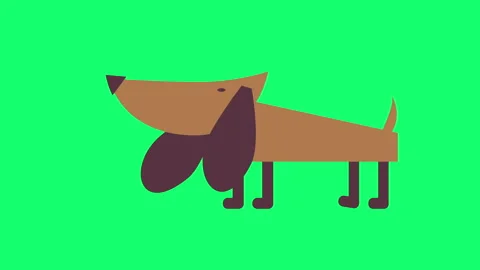 Green Screen Dog Run Stock Video Footage | Royalty Free Green Screen ...