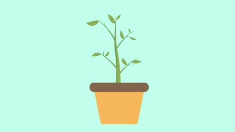 save earth tree animated tree seeds grow... | Stock Video | Pond5