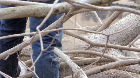 Mummified Stock Video Footage | Royalty Free Mummified Videos | Pond5