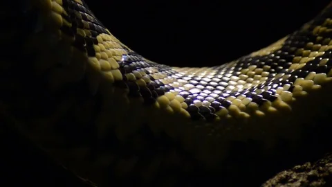 Close Up Diamond Stock Footage ~ Royalty Free Stock Videos | Pond5