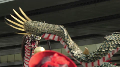 Scaly Dragon Stock Videos – Royalty-Free HD & 4K Videos