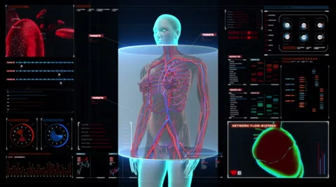 Scanning blood vessle in female body in ... | Stock Video | Pond5