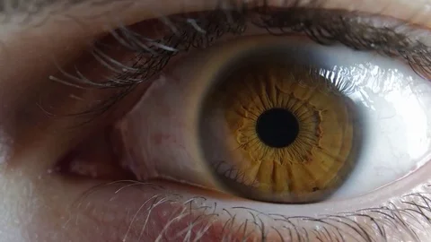 Scared Eye Closeup Iris Details Brown Ca... | Stock Video | Pond5