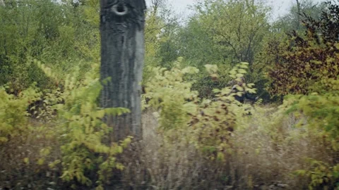 Scared princess is running away in the w... | Stock Video | Pond5