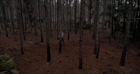 Lost In Woods Stock Video Footage | Royalty Free Lost In Woods Videos ...