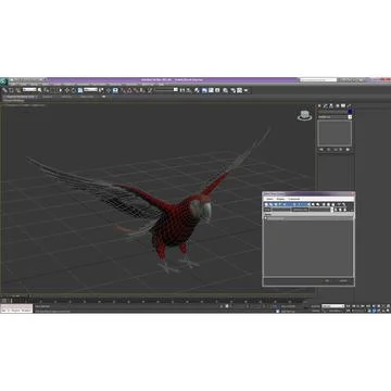 Scarlet Macaw ~ 3D Model ~ Download #89230366 | Pond5