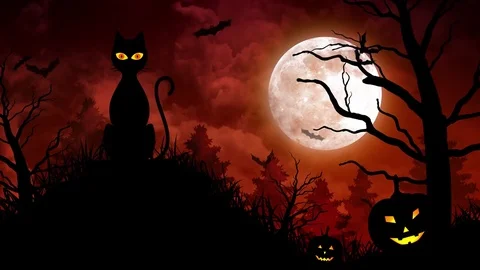 Scary Cat and Moon in Red Background | Stock Video | Pond5