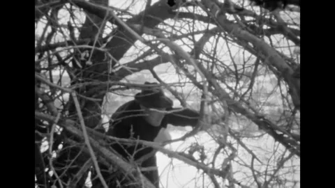 Scary Man Stock Video Footage | Royalty Free Scary Man Videos | Page 8