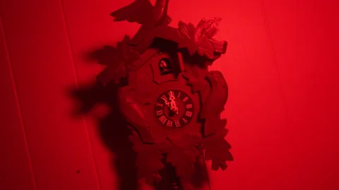 Cuckoo Clock Stock Footage ~ Royalty Free Stock Videos | Pond5