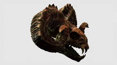 Scary Vj Loop Stock Videos – Royalty-Free HD & 4K Videos | Pond5