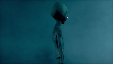 Alien Grey Stock Video Footage | Royalty Free Alien Grey Videos | Pond5