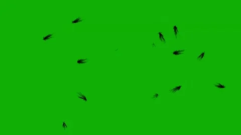 Scary Green Screen Stock Footage ~ Royalty Free Stock Videos | Page 3