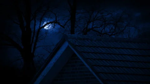 Scary Night Scene Of House Roof And Tree... | Stock Video | Pond5