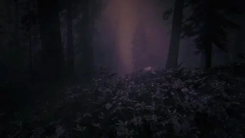 Scary Night Scene, Mystical Trees, Horro... | Stock Video | Pond5