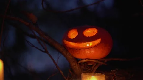 Scary Tree Branch Stock Videos – Royalty-Free HD & 4K Videos