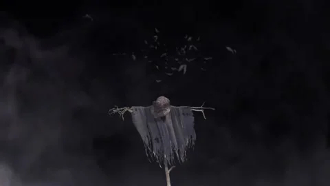 Scarecrow 3D Stock Videos – Royalty-Free HD & 4K Videos