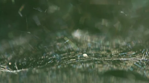 Scary Spider web Texture | Stock Video | Pond5