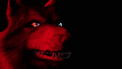 Scary Rabid Animal Stock Videos – Royalty-Free HD & 4K Videos