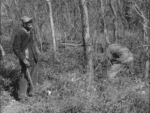 Scene Living Stock Videos – Royalty-Free HD & 4K Videos | Pond5