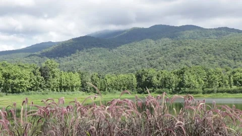 Forest Mountain Fountain Stock Videos – Royalty-Free HD & 4K Videos | Pond5