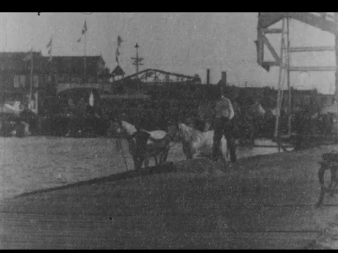 Scene of horse diving in Chutes pond - 1... | Stock Video | Pond5