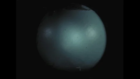 Scene Domination Stock Videos – Royalty-Free HD & 4K Videos