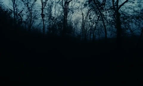 Scene of thrilling forest chase first pe... | Stock Video | Pond5