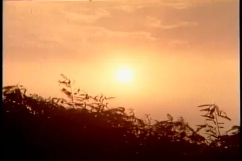 Scenes of beautiful sunset - 1980 | Stock Video | Pond5
