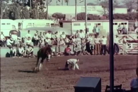 Scenes of crowds cheer at horse races an... | Stock Video | Pond5