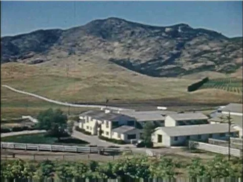 Scenes From Hidden Stock Videos – Royalty-Free HD & 4K Videos