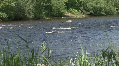Scenic shot looking across river | Stock Video | Pond5