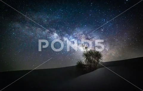 Scenic view of a desert at night with starry sky in the background ...