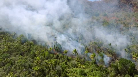 Scenic View Of Forest Fire In The Middle... | Stock Video | Pond5