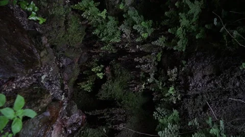 Water Dripping Down Stock Videos – Royalty-Free HD & 4K Videos | Page 5