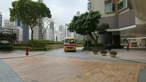 Pics For School Stock Videos – Royalty-Free HD & 4K Videos