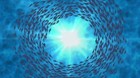 School of fish swimming in a circle. Sha... | Stock Video | Pond5