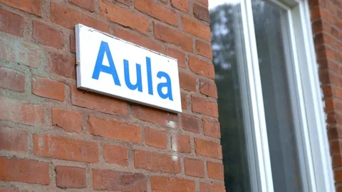 School Main Hall Stock Videos – Royalty-Free HD & 4K Videos