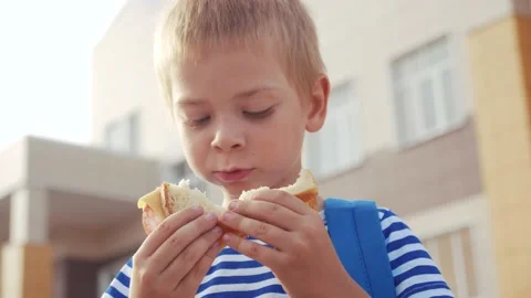 Of Kids In Eating School Canteen Stock Footage ~ Royalty Free Stock ...