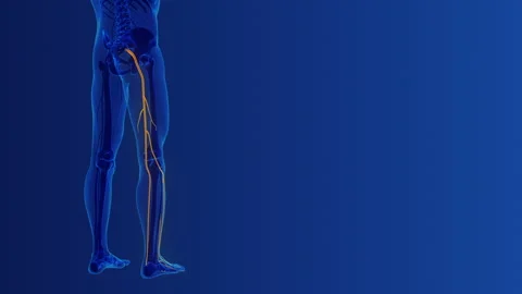 Sciatica Pain Stock Videos – Royalty-Free HD & 4K Videos