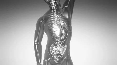 science anatomy of human body in x-ray w... | Stock Video | Pond5