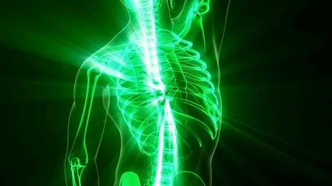 science anatomy of human body in x-ray w... | Stock Video | Pond5