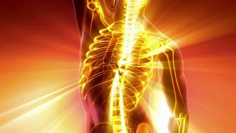 science anatomy of human body in x-ray w... | Stock Video | Pond5