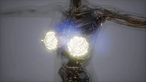 science anatomy of human body in x-ray w... | Stock Video | Pond5