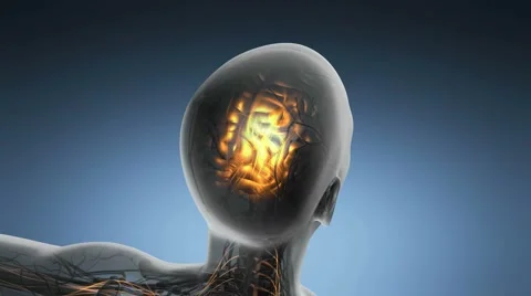 science anatomy scan of human brain glow... | Stock Video | Pond5