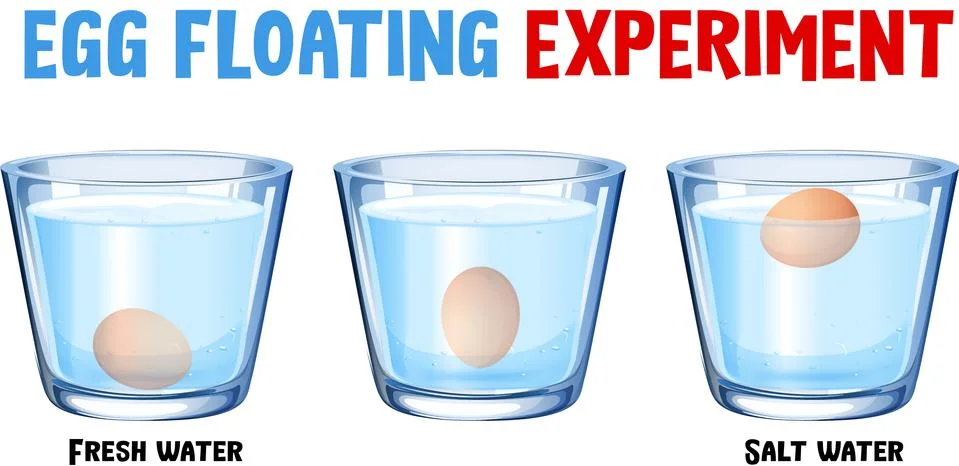 Science Experiment Illustrations ~ Vectors | Page 9