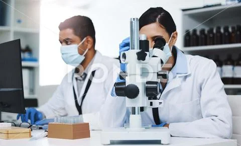 Science, laboratory and team of scientists with microscope for research, medical ~ Premium Photo ...