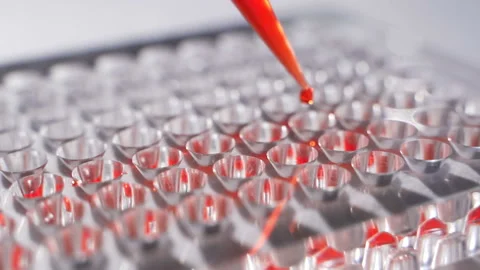 Media Human Stock Videos – Royalty-Free HD & 4K Videos | Pond5