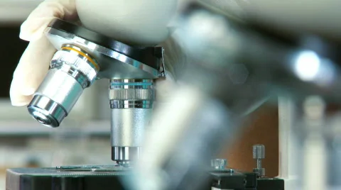 Science Stock Video Footage | Royalty Free Science Videos | Pond5