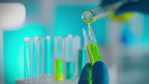 Scientific Conclusion Stock Videos – Royalty-Free HD & 4K Videos