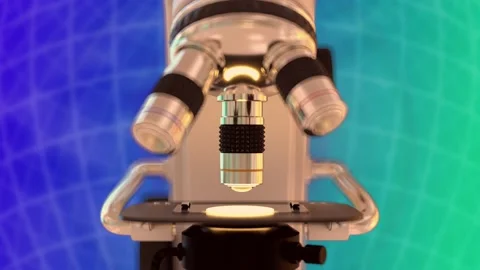 Globe Clip Art Stock Videos – Royalty-Free HD & 4K Videos | Pond5